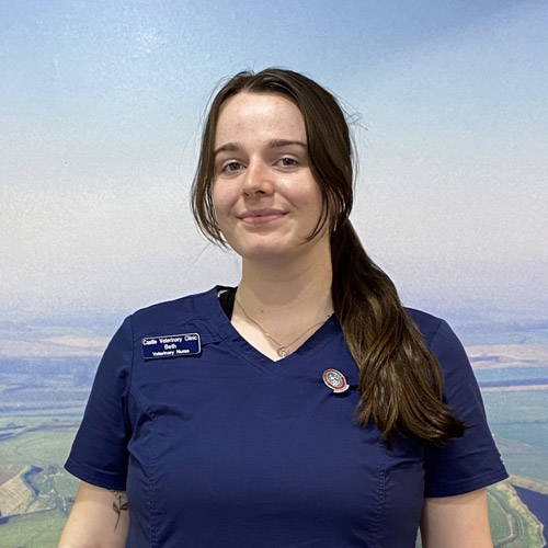 Meet the Amazing Veterinary Team at Castle Vets Dorchester & Weymouth