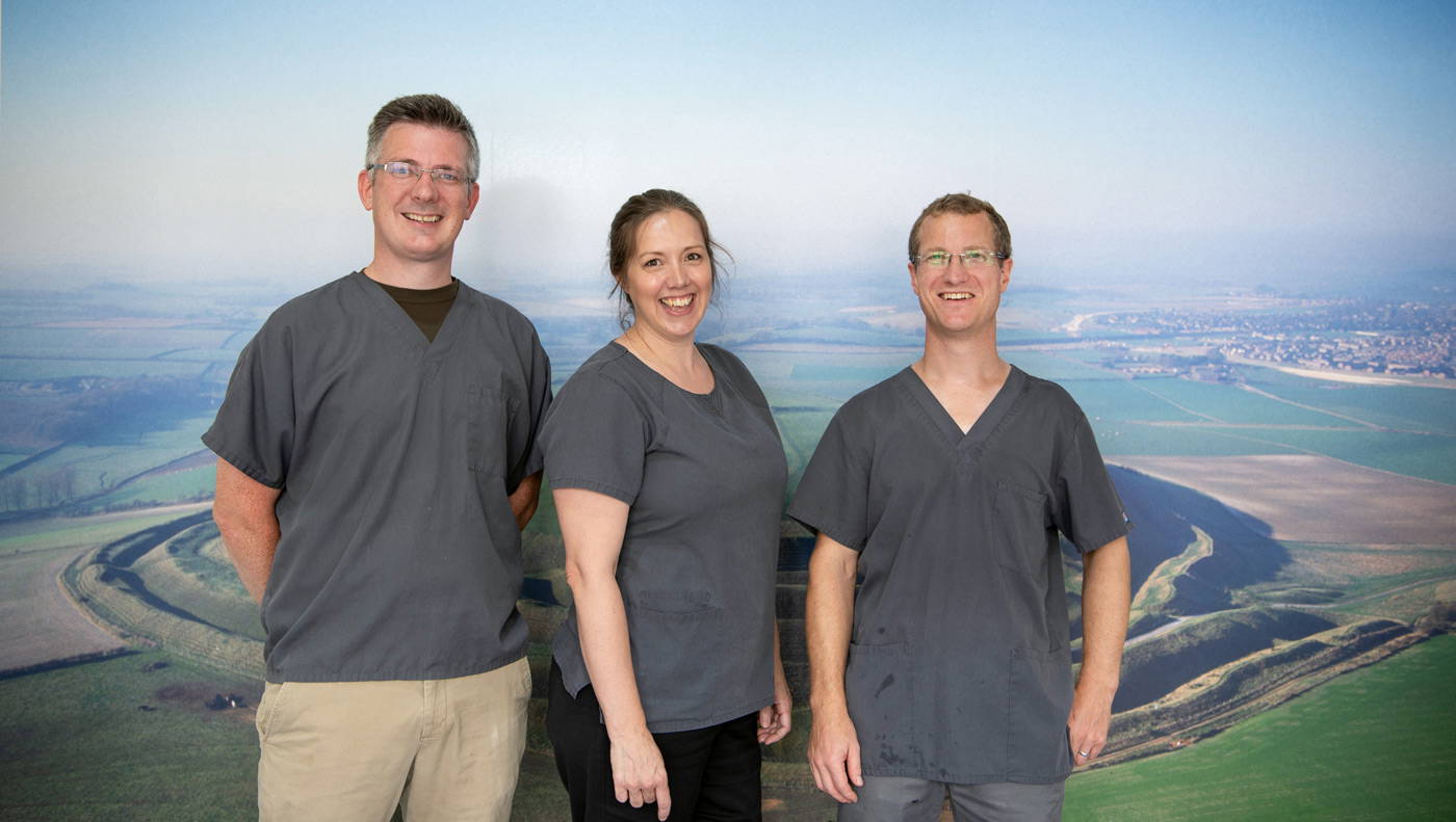 Want to work with an amazing vet team? Veterinary jobs at Castle Vets